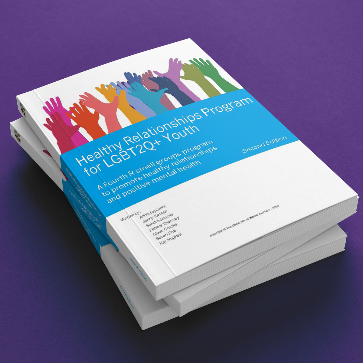 Healthy Relationships Program (HRP) – Youth Relationships